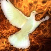 D. Wilkerson – Trezire Azi